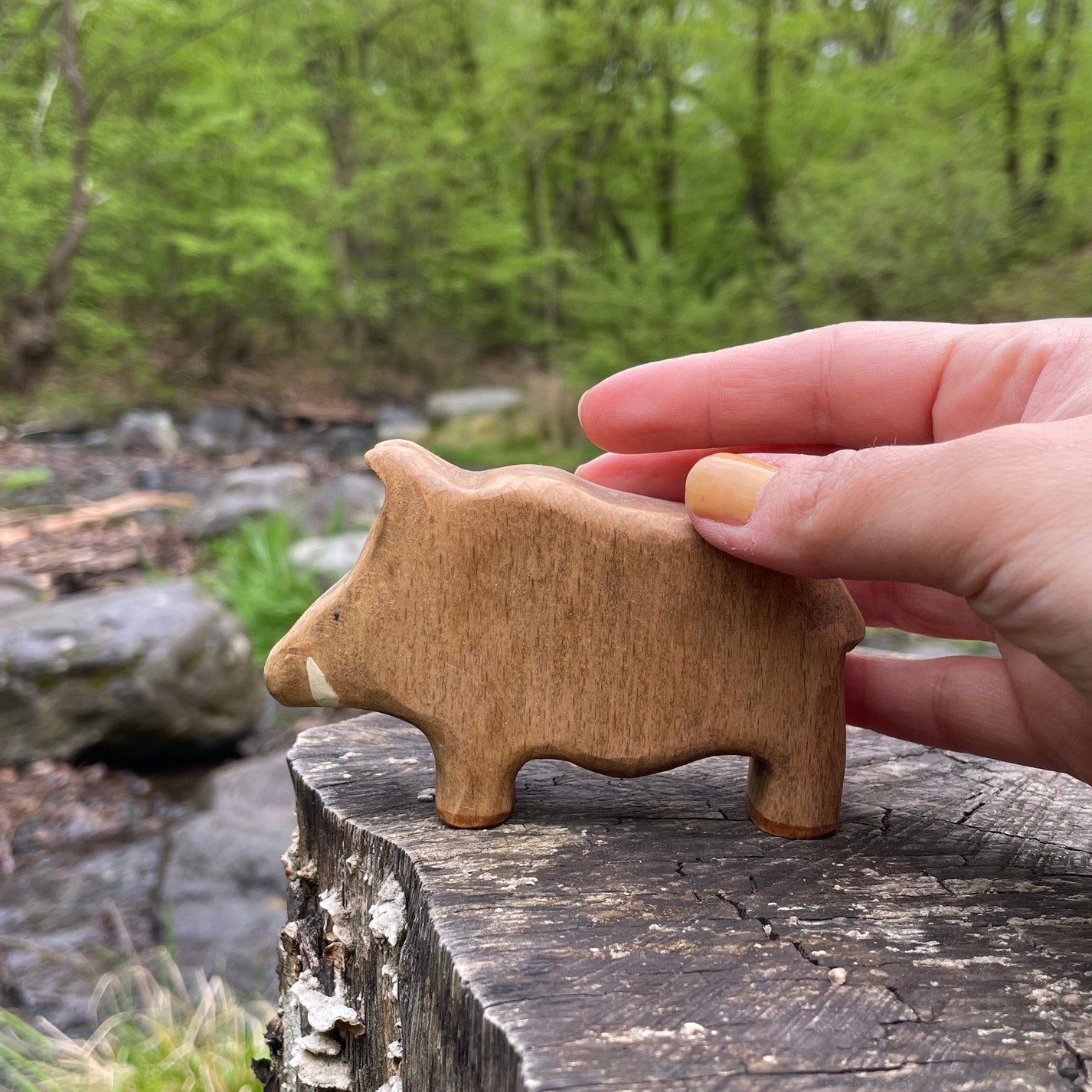 Wooden Boar Waldorf Toy – Lindquist Lane
